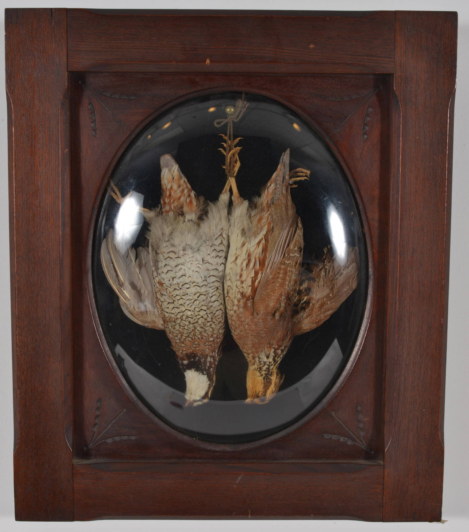 19th Century American Victorian Shadow Box Framed Hanging Game Bird ...