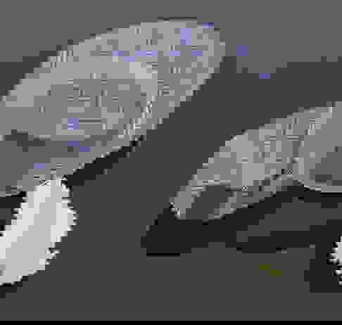 Chinese White Jade Mounted Magnifying Glass With Case. Fine Qing Period ...