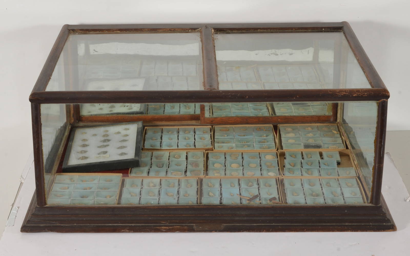 Antique Flat Top Display Case With Fossilized Seashell Specimens. 14 X ...