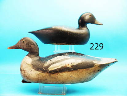 Stevens Factory Humpback Redhead In Use Paint