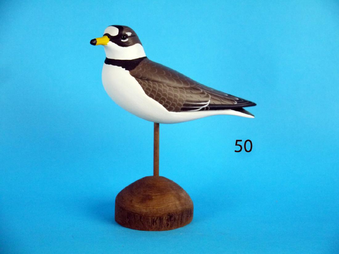 PIPING PLOVER by Manfred Scheel