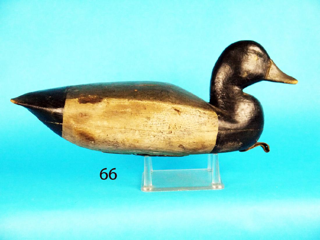 EARLY BLUEBILL DRAKE by Henry Grant