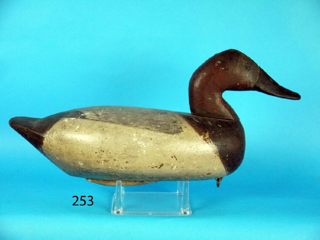 EARLY CANVASBACK DRAKE attributed to Sam Barnes