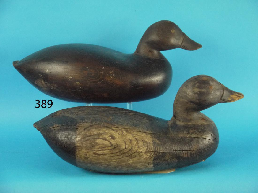 BLUEBILL DRAKE AND HEN attributed to Cassius Smith