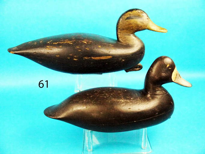 Black Duck, S. Grant/bluebill Hen, H.v. Shourds