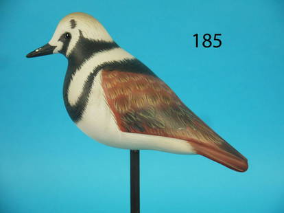 Ruddy Turnstone, S. Smith