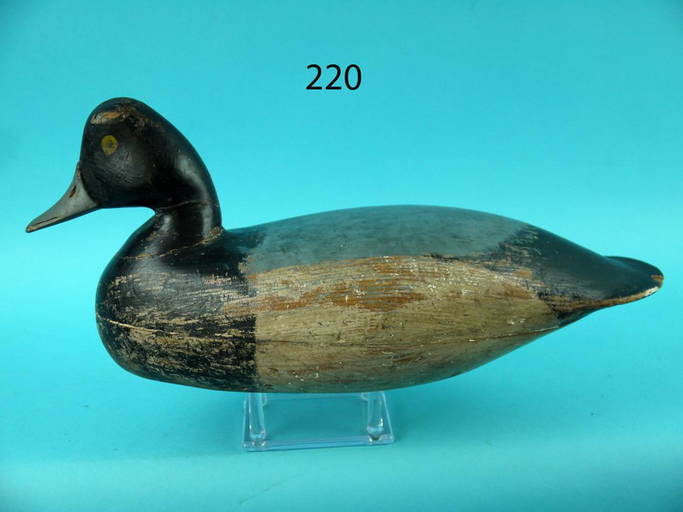 Bluebill Drake, H.v. Shourds