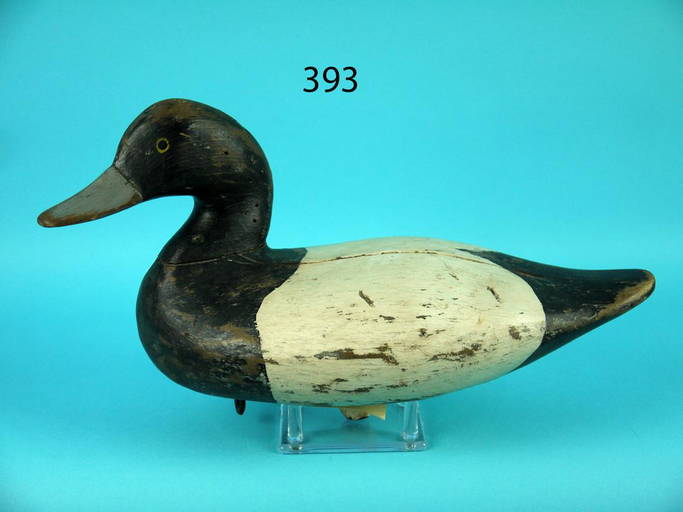 EARLY BLUEBILL DRAKE, UPPER BAY - Jun 13, 2021 | Frank and Frank ...