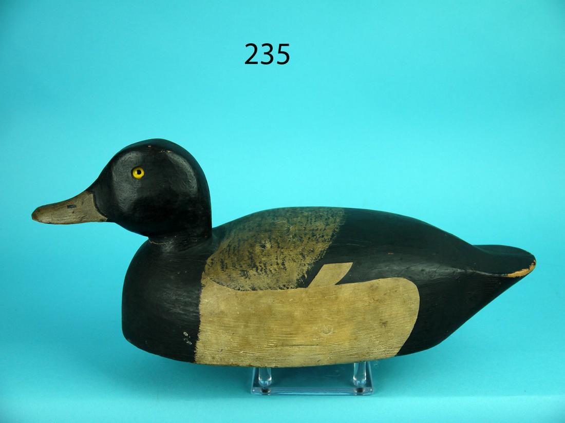 Bluebill Drake, St. Clair Flats