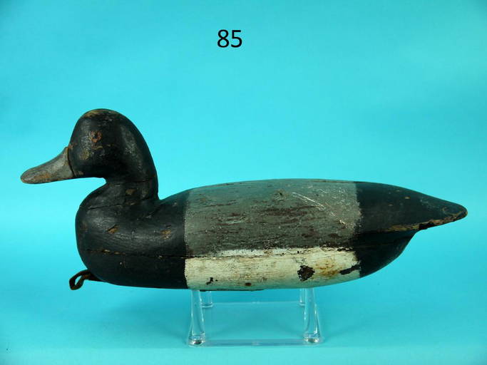 BLUEBILL DRAKE, W. BROWN (#0085) on Jun 26, 2022 | Frank and Frank ...