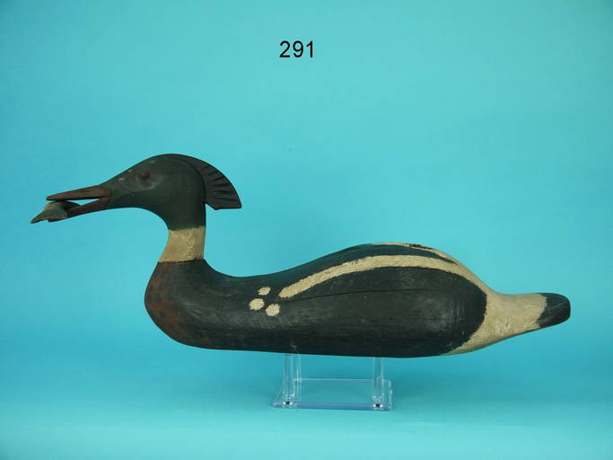 Red Breasted Merganser Drake, K. Kirby