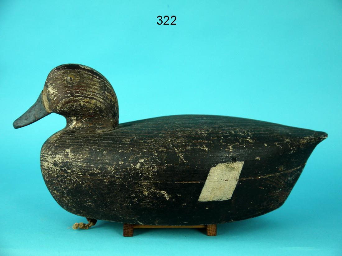 Bluebill Hen, Connecticut