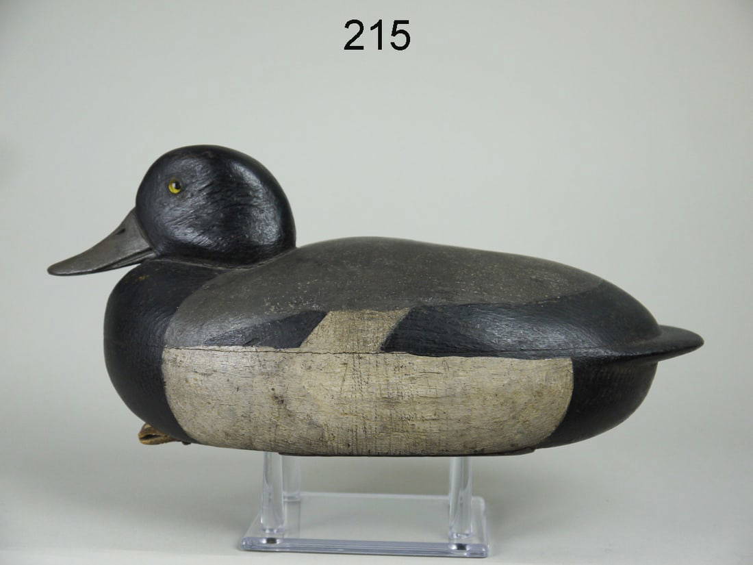Rare Bluebill Drake, J. Mcloughlin Auction