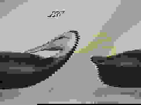 Black Duck, H.v. Shourds Auction