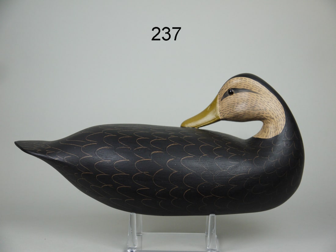 Black Duck, H.v. Shourds Auction