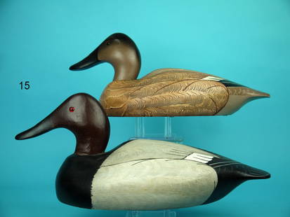 Two Pair Comb Painted Canvasback Decoys