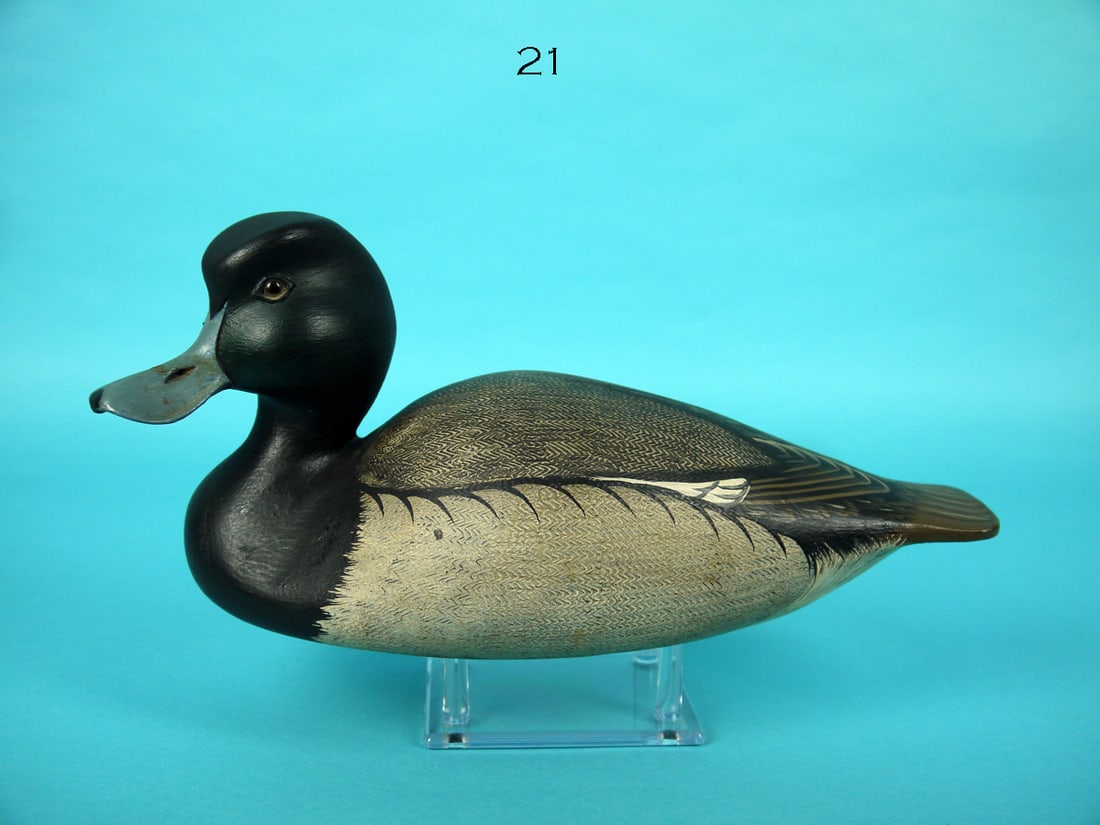 Bluebill Drake, A. Carney Auction