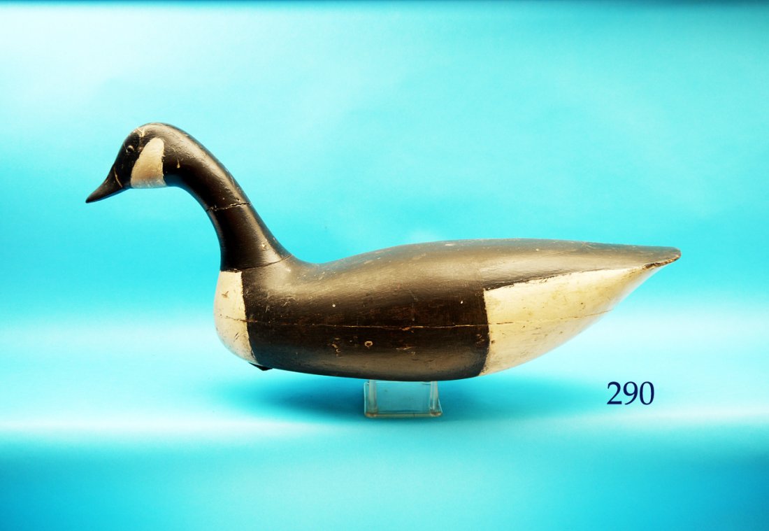 Rare Swimming Canada Goose By Harry V. Shourds,