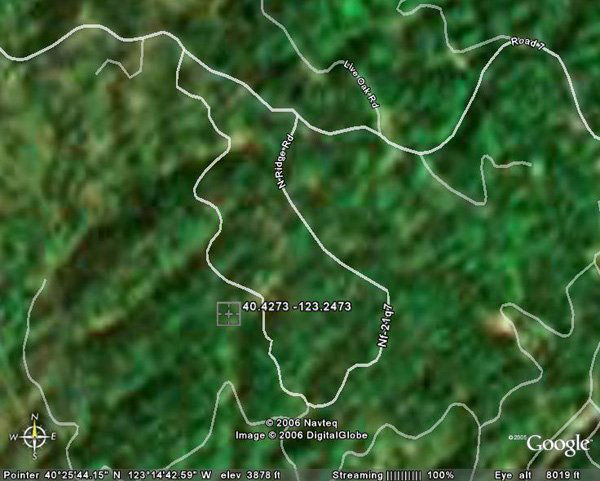 97239: 239. TRINITY PINES (TRINITY CO., CA) 1.6 acres.