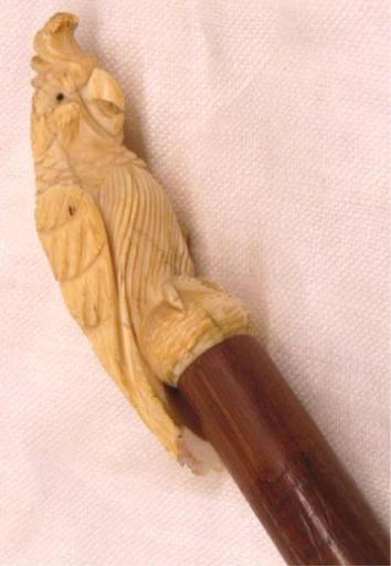 Cockatoo Carved Cane