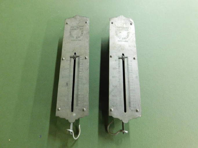 (2) Spring Balance Scales