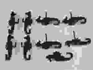 Antique Cast Iron Seahorse Shutter Locks