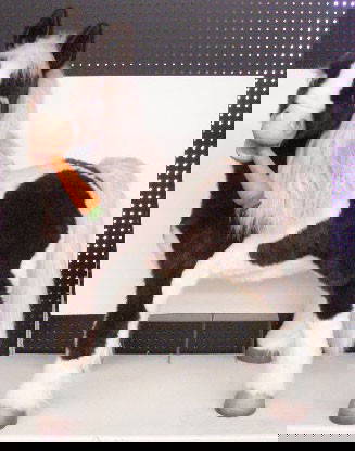 Hasbro Furreal Friends Pony