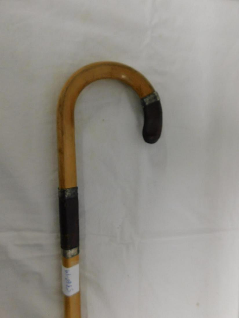 Crook Handle Cane
