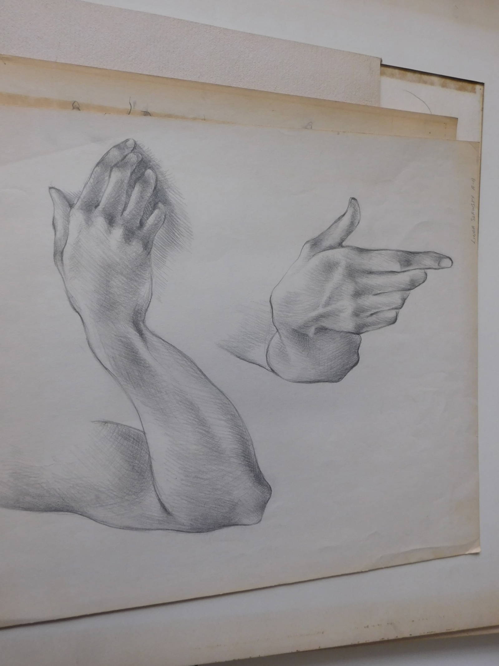 Stephen Robin Portfolio Of Artwork Auction