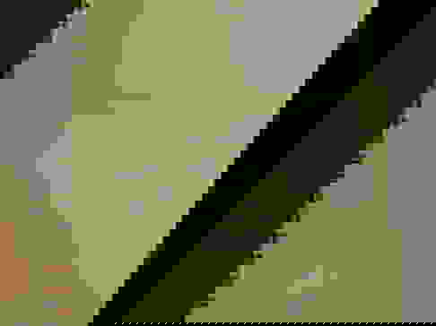 Stephen Robin Picture Album Auction