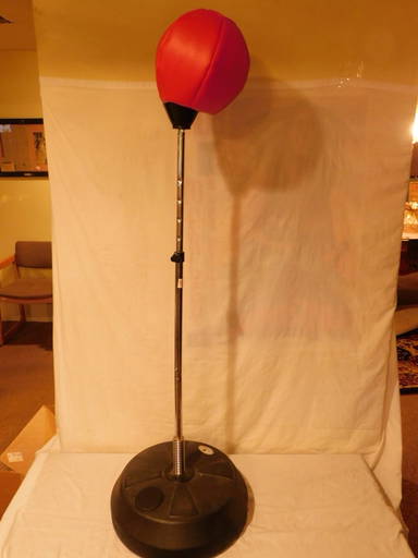 Protocol Punching Bag