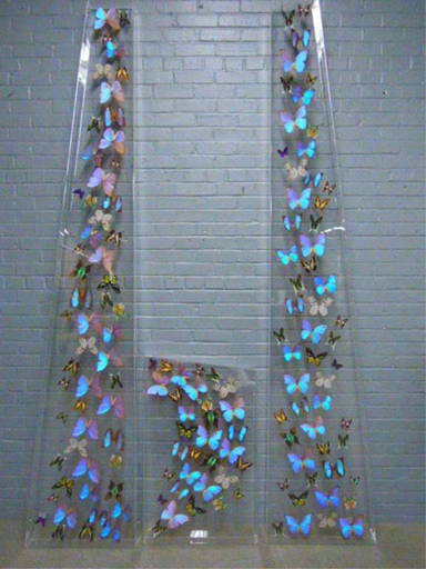 3 Mounted Butterfly Displays In Lucite Cases