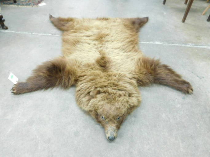 Antique Taxidermy Grizzly Bear Skin Rug