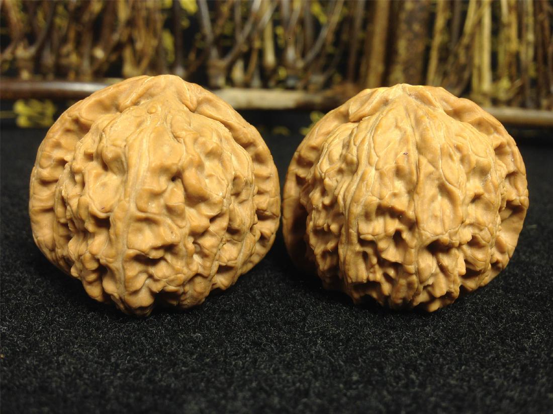 PAIR OF CHINESE WENWAN PLAYING WALNUTS