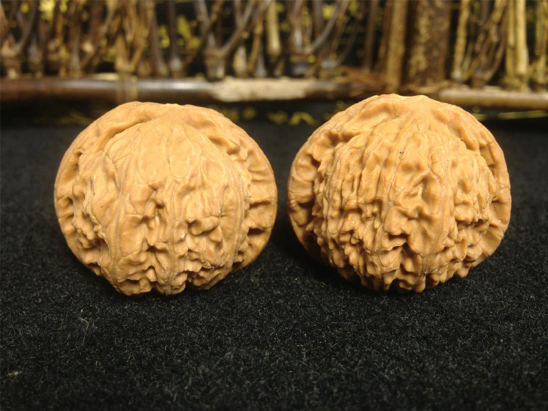 Pair Of Chinese Wenwan Playing Walnuts