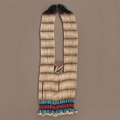 Northern Plains Woman's Bone Hairpipe Breastplate,