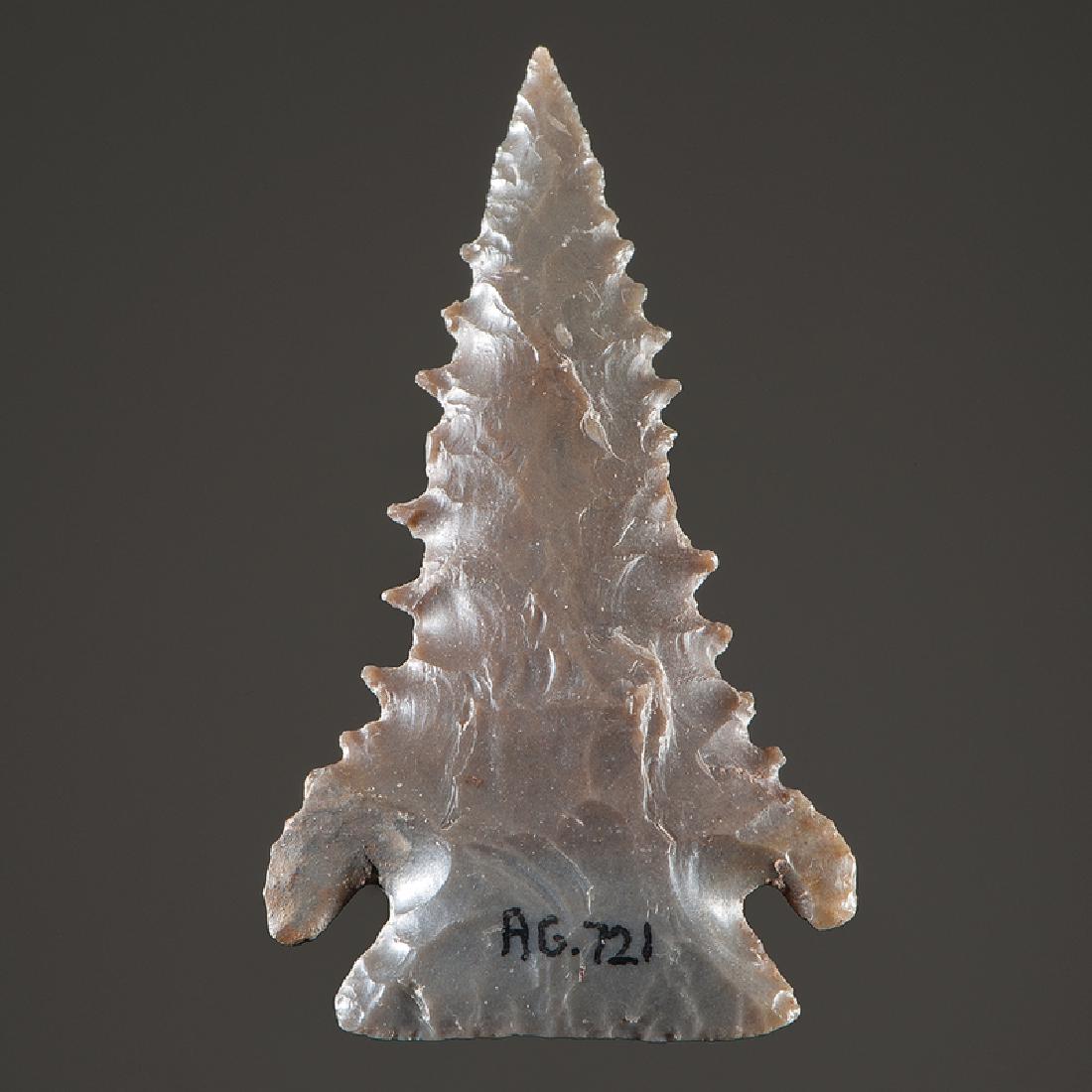 A Pine Tree Point from Swan's Landing