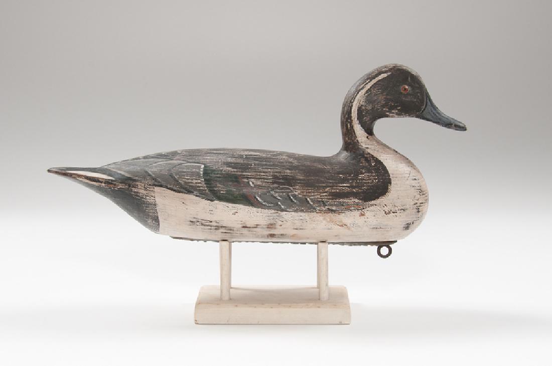Charles Perdew (1874 1963) Pintail Drake Duck Decoy