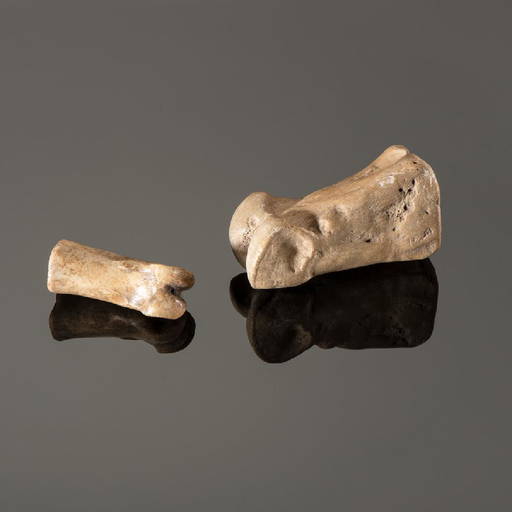 A Deer and Elk Toe Bone Archaic Game, Longest 2 in. - Dec 08, 2018 ...