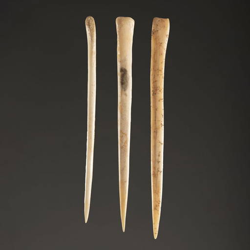 Three Bone Awls, Largest 6 In.