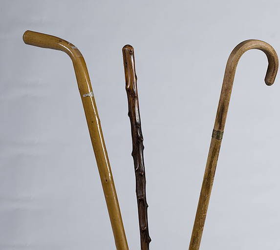 "louisville" Cane And Two Additional Canes