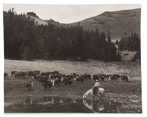 Charles Belden Photograph Of A Cowboy And His Char
