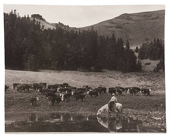 Charles Belden Photograph Of A Cowboy And His Char