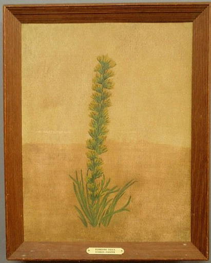 Oil On Canvas Painting Of Flowering Yucca Signed