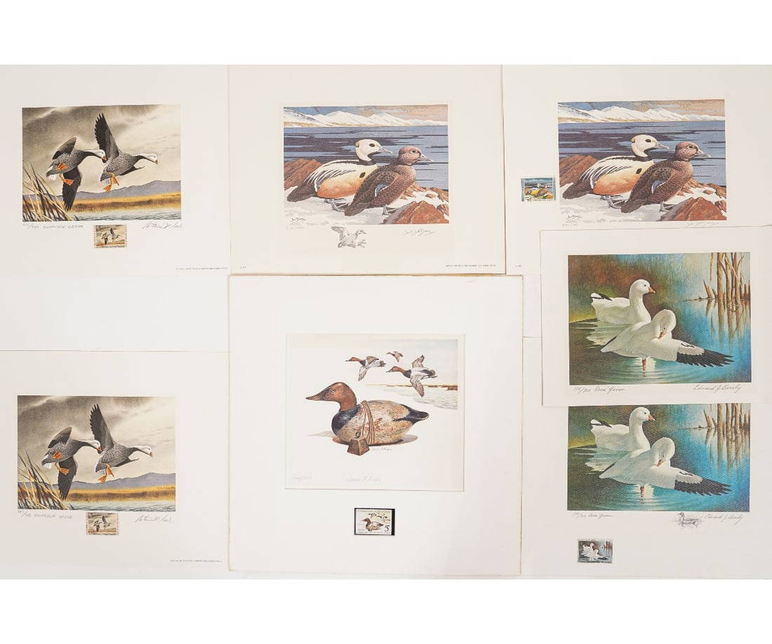 Seven Limited Edition Duck Prints Auction