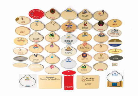 A Disneyland Cast Name Badges And Pin Collection.