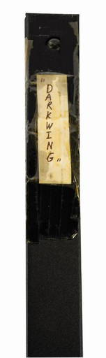 A Collection Of Darkwing Duck Scripts.