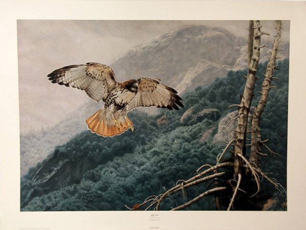 Charles Frace, Red Tail Hawk, Lithograph