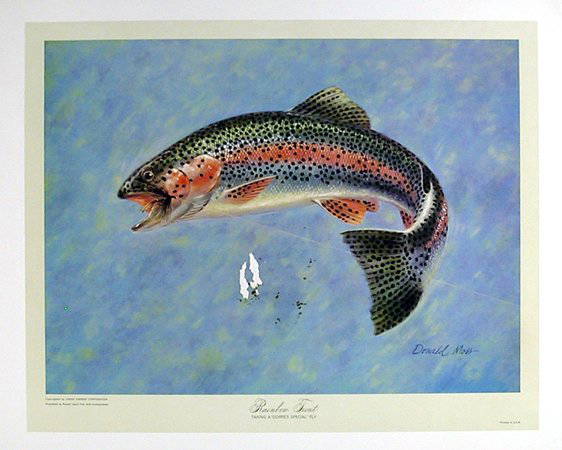 Donald Moss, Rainbow Trout, Lithograph