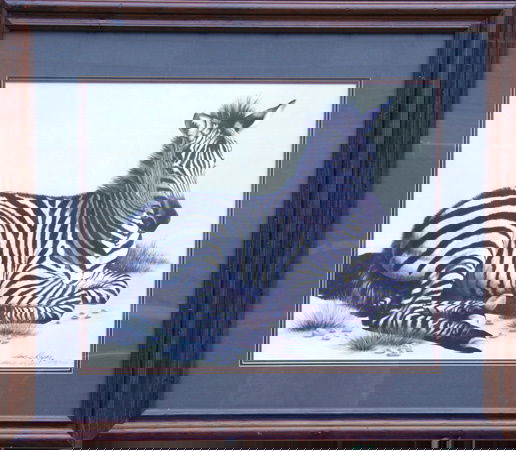 Harold Rigsby Framed Wildlife Print, Zebra - Oct 11, 2005 | Rogue ...